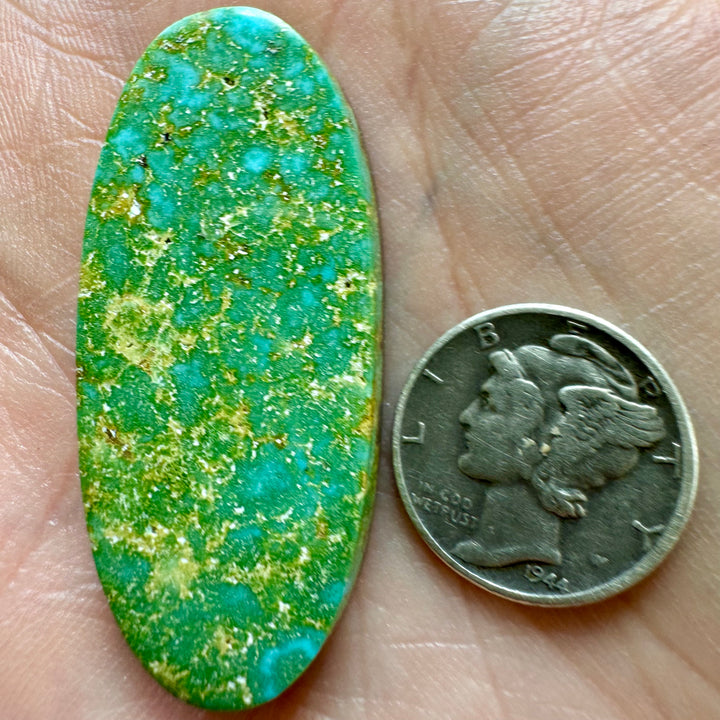 Arizona Turquoise – turquoisematrix