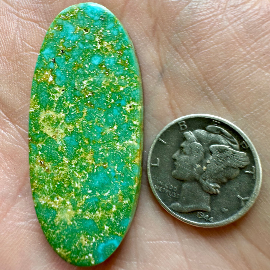 Arizona Turquoise – turquoisematrix
