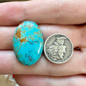 Arizona Turquoise – turquoisematrix